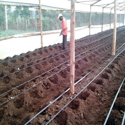 RURAL HORTICULTURAL PROJECT DEVELOPMENT – Greenbelt